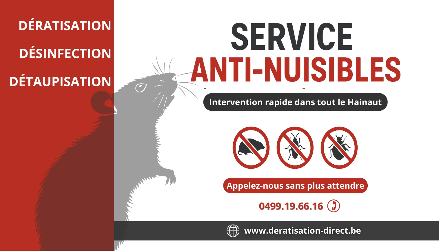 Dératisation et désinsectisation à Mons | Dératisation Direct